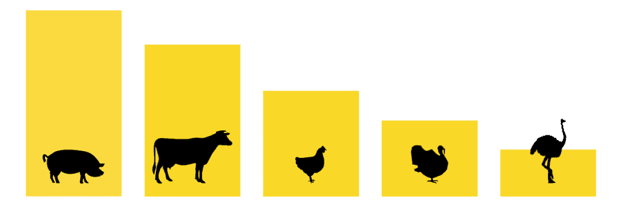 Strucc hús - Struccfeszek.hu